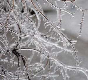 Cold Weather Resources for the Latest Freeze – WBOB